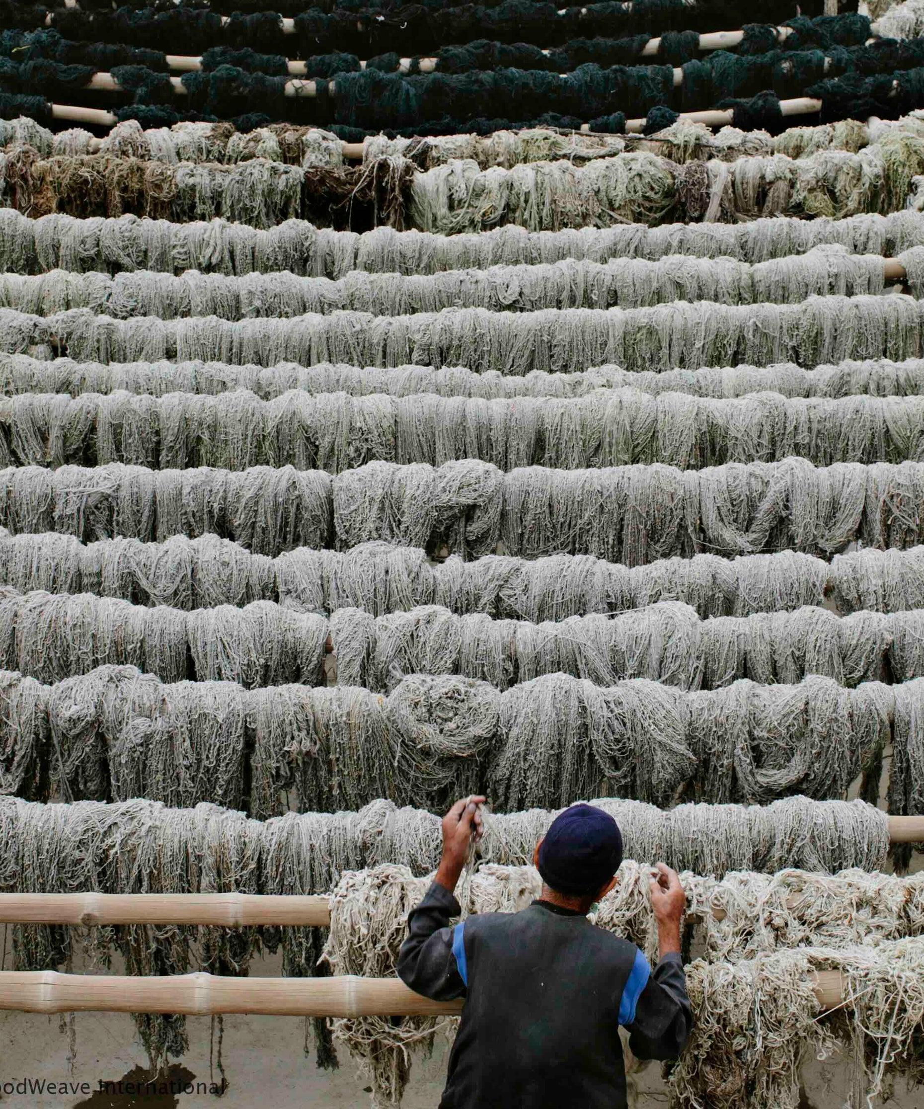 Colorscope Rug Concepts | Quality Rugs | Wholesale